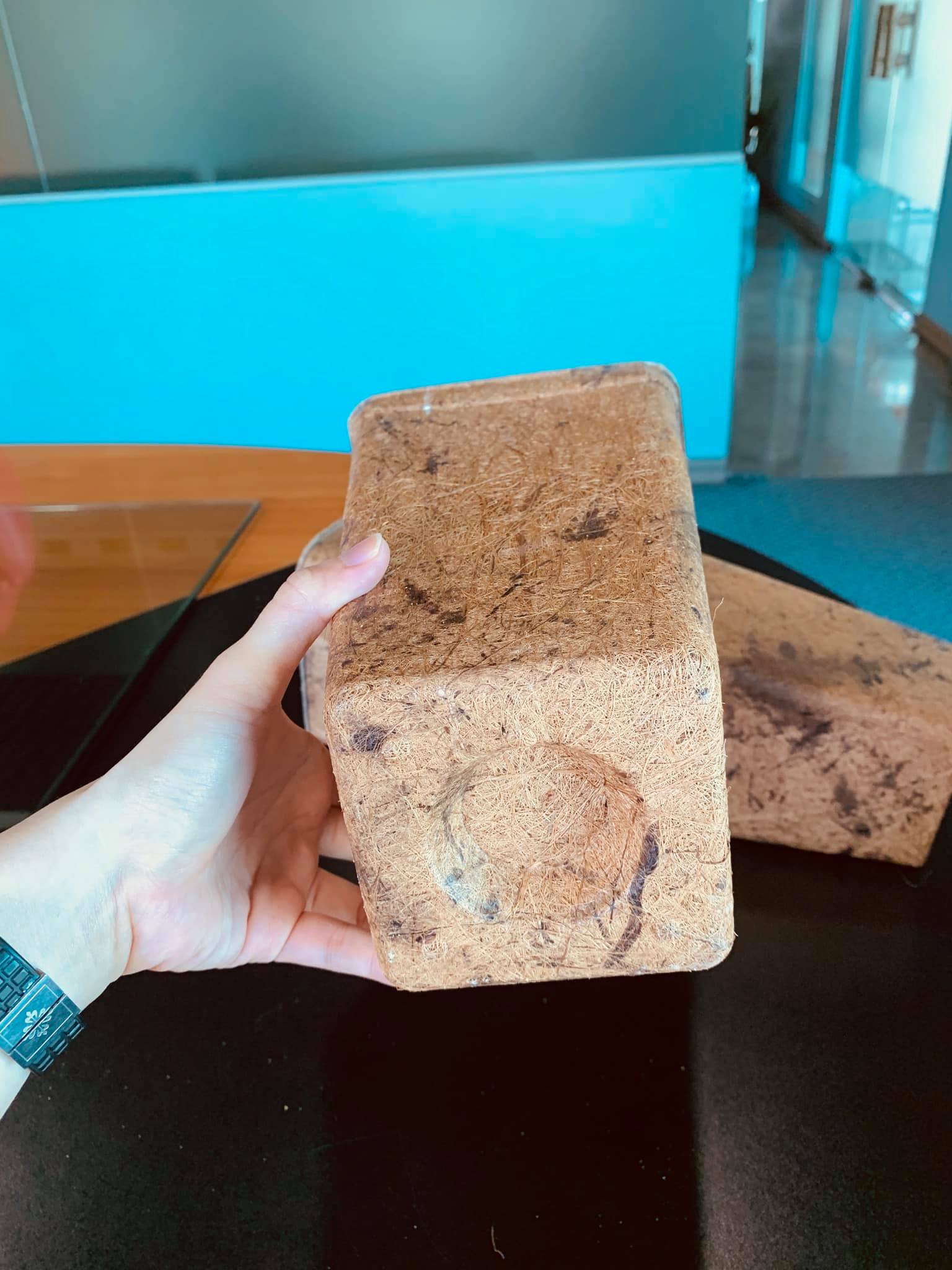 Rose Pot Bio – Biodegradable and Compostable Pots