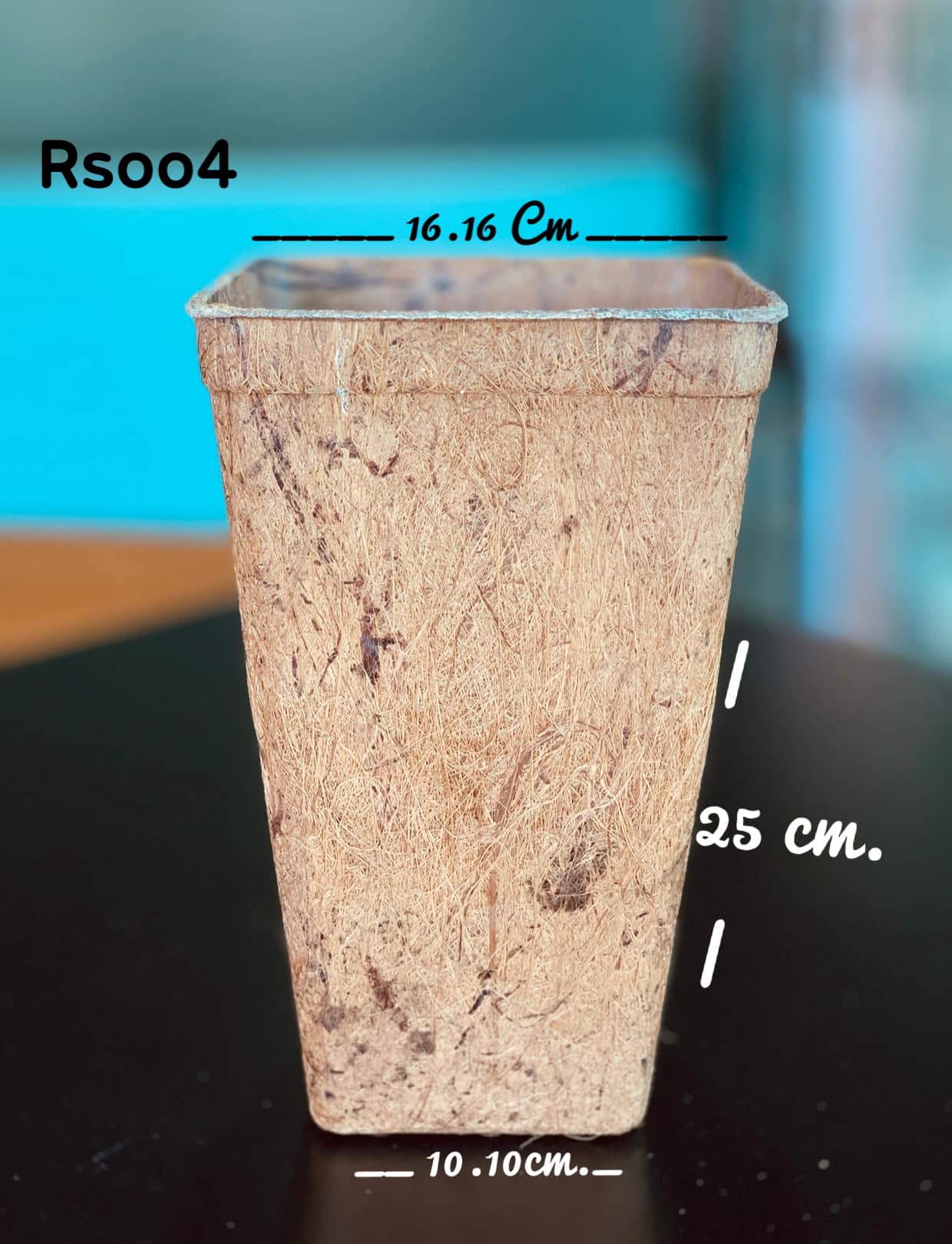 Planting tree in pot – Biodegradable and Compostable Pots