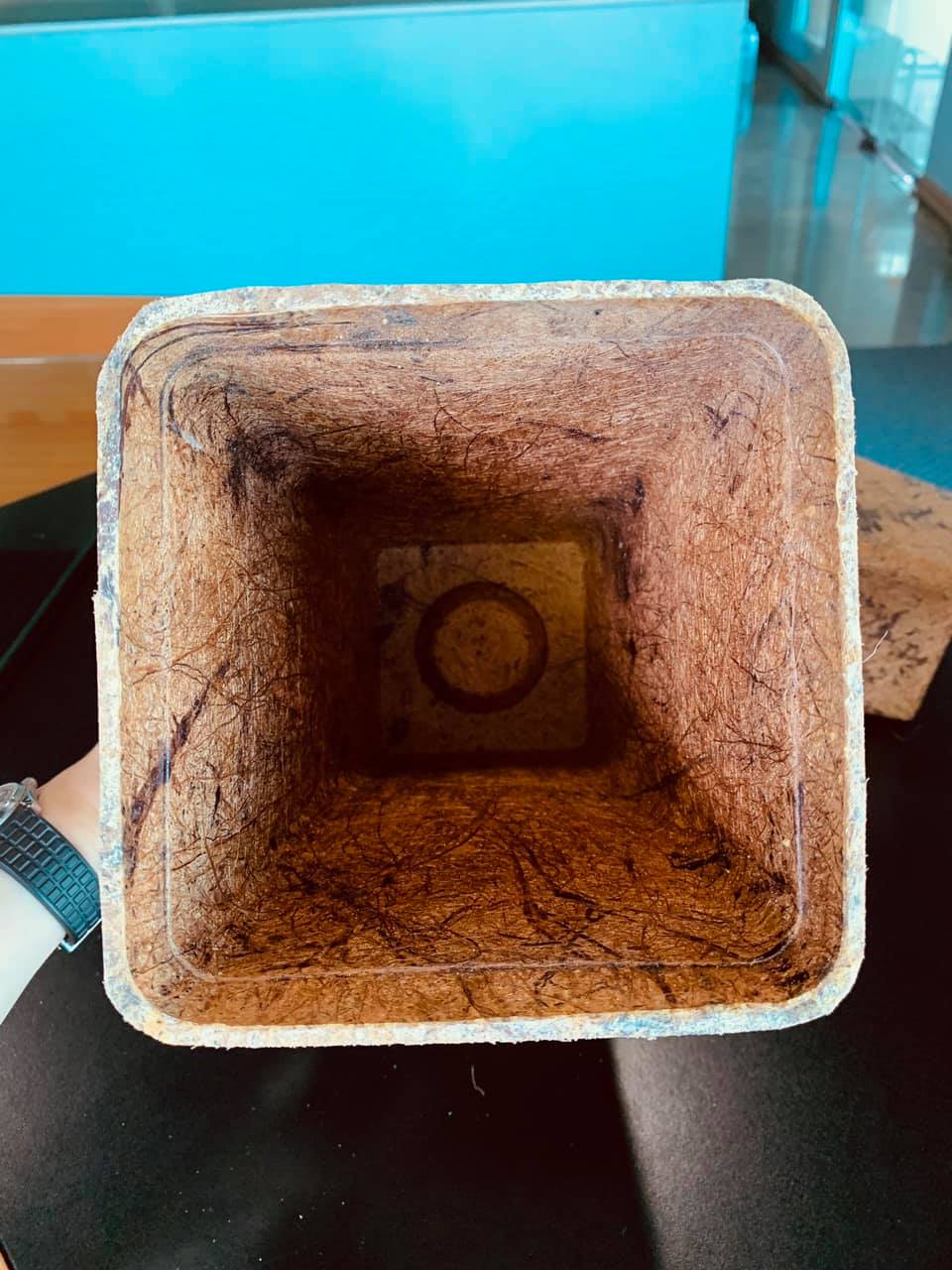 Rose Pot Bio – Biodegradable and Compostable Pots