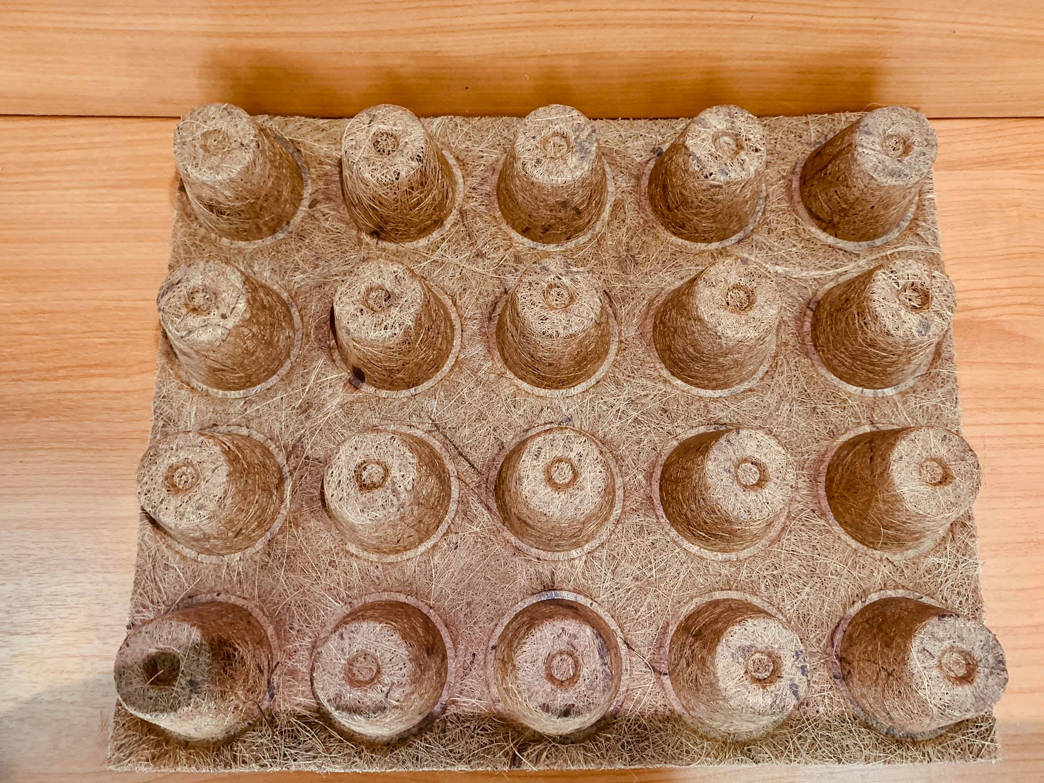 Seed starter tray biodegradable and organic – Biodegradable and ...