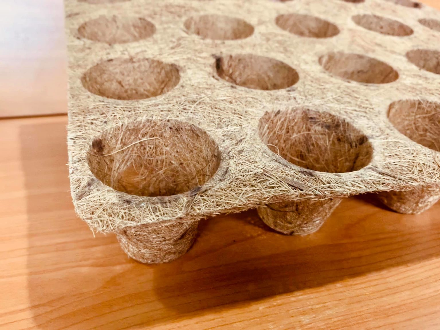 Seed starter tray biodegradable and organic – Biodegradable and ...