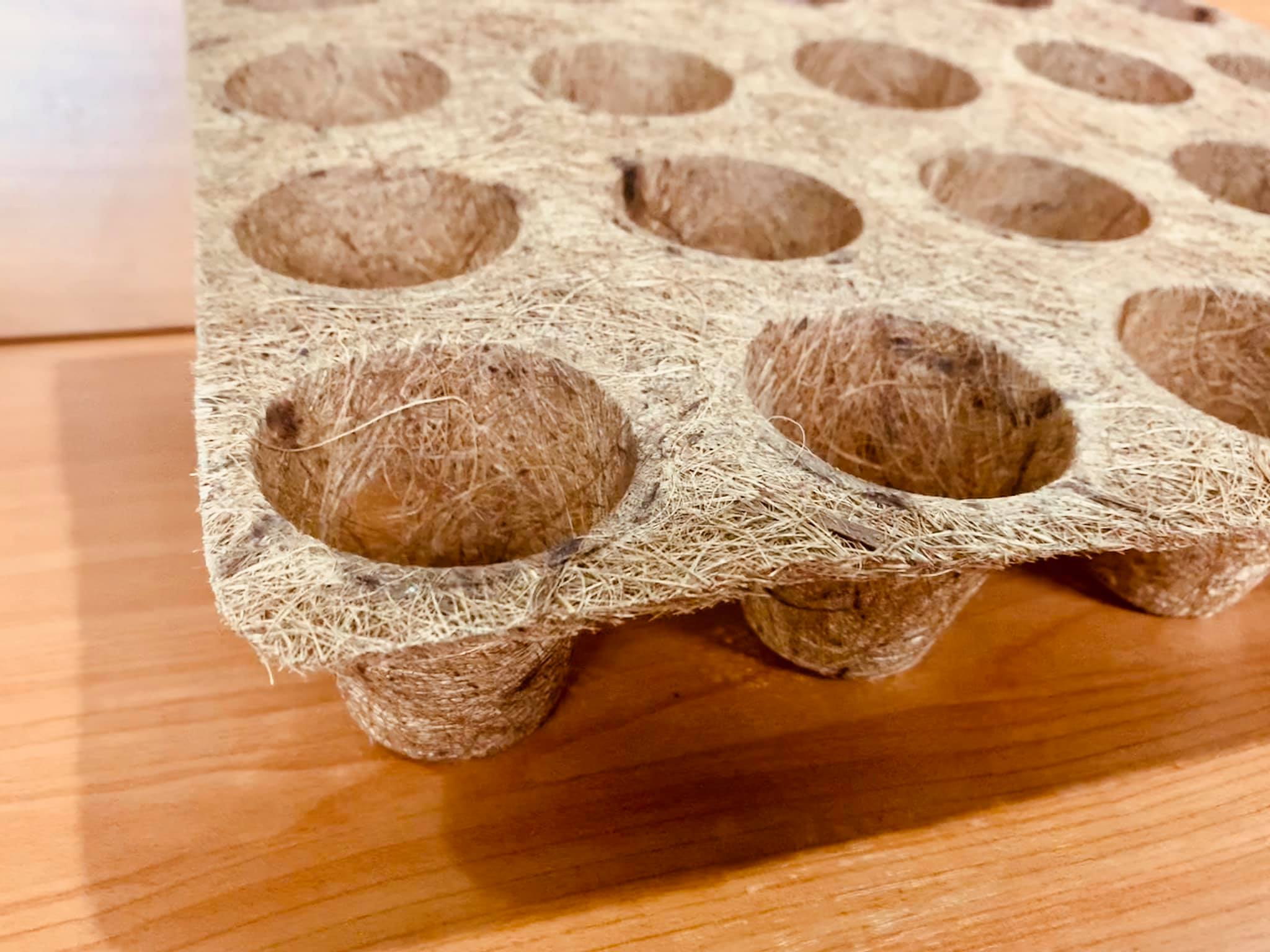 Seed starter tray biodegradable and organic – Biodegradable and ...