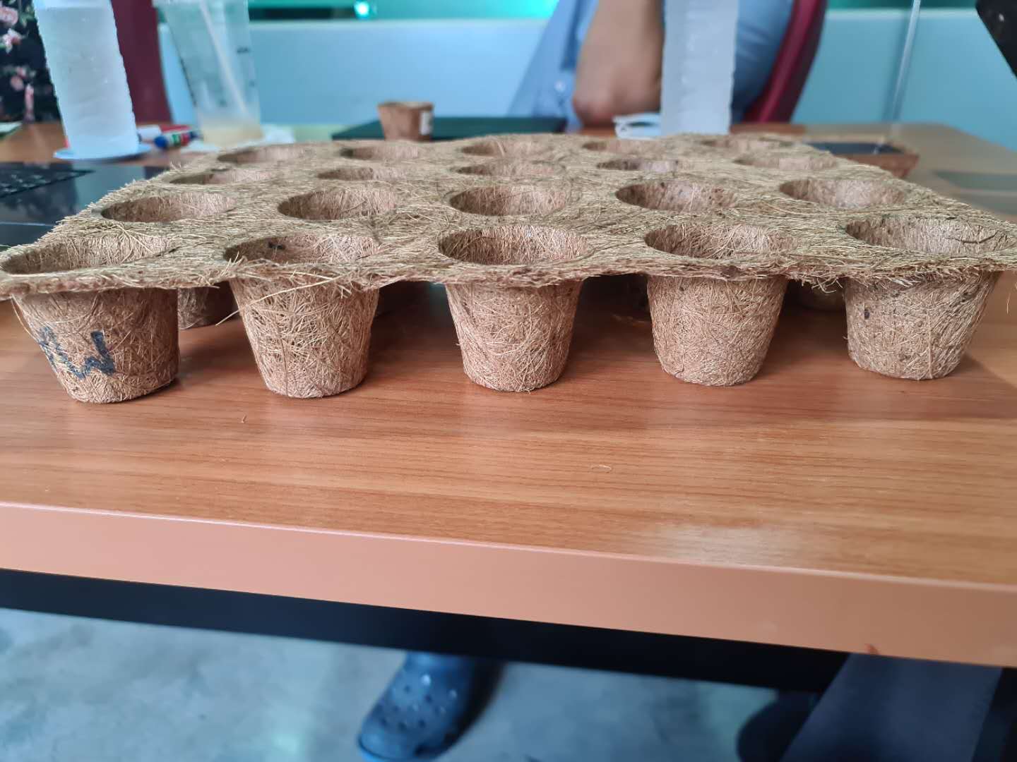 Biodegradable seed starter pots – Biodegradable and Compostable Pots