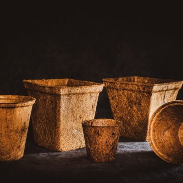 Biodegradable and Compostable Pots – Biodegradable seed starter pots ...