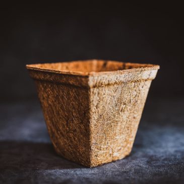 Biodegradable and Compostable Pots – Biodegradable seed starter pots ...