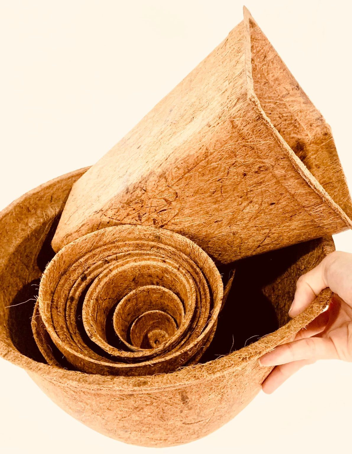 Biodegradable Pots for roses, hydroponics and herbs – Biodegradable and ...