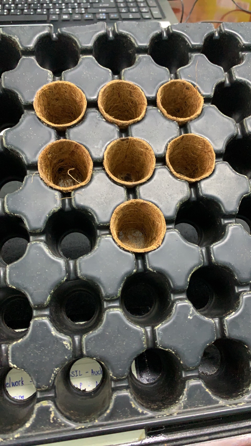 hydroponics growcoon natural fibre – Biodegradable and Compostable Pots