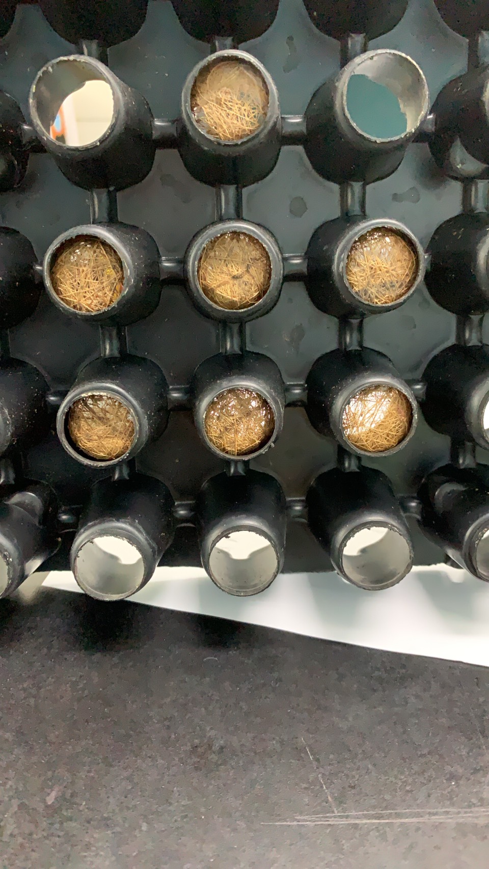 hydroponics growcoon natural fibre – Biodegradable and Compostable Pots