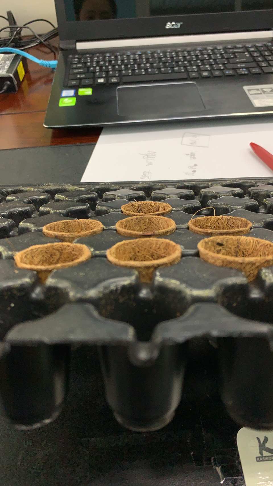 hydroponics growcoon natural fibre – Biodegradable and Compostable Pots