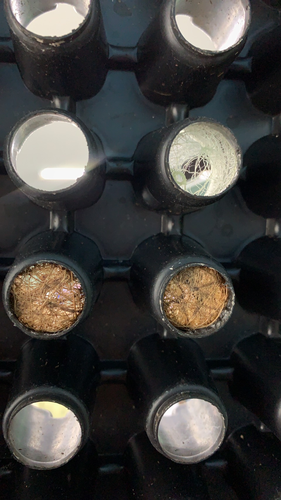 hydroponics growcoon natural fibre – Biodegradable and Compostable Pots