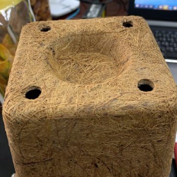 Biodegradable and Compostable Pots – Biodegradable seed starter pots ...