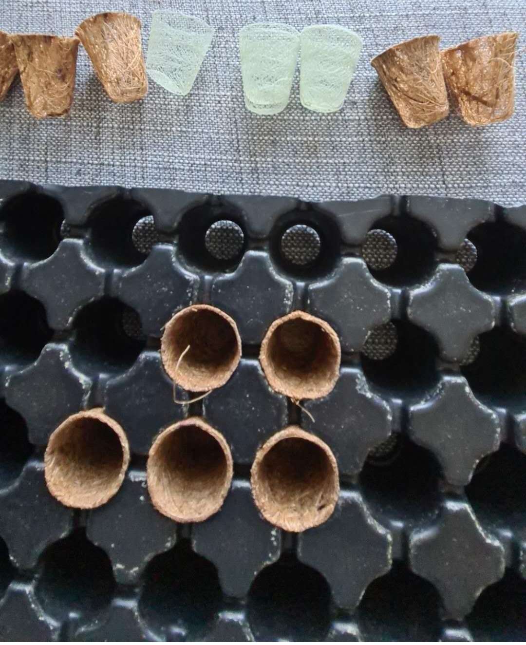 Biodegradable Seedling Pot – Biodegradable and Compostable Pots