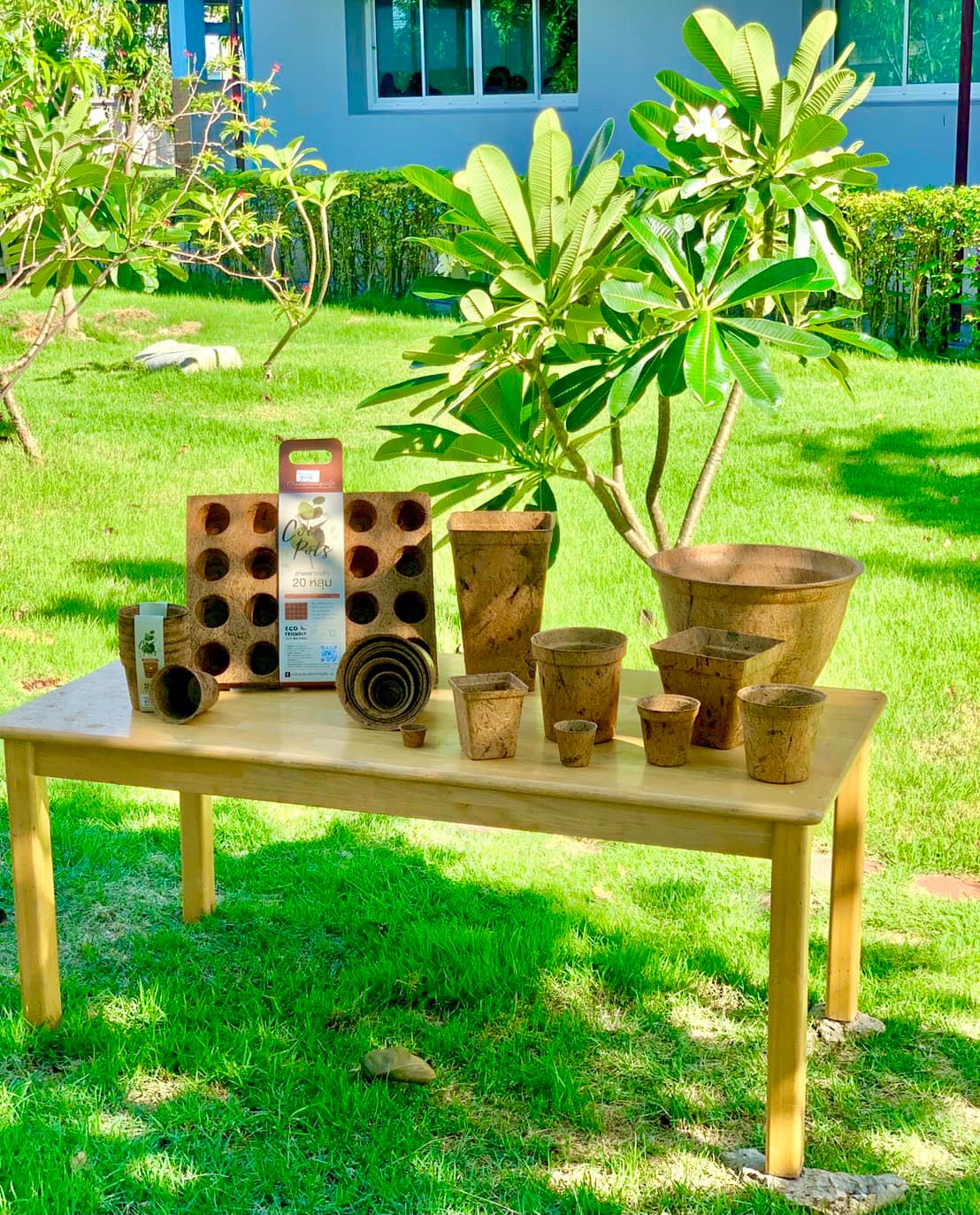 Biodegradable gardening Set – Biodegradable and Compostable Pots