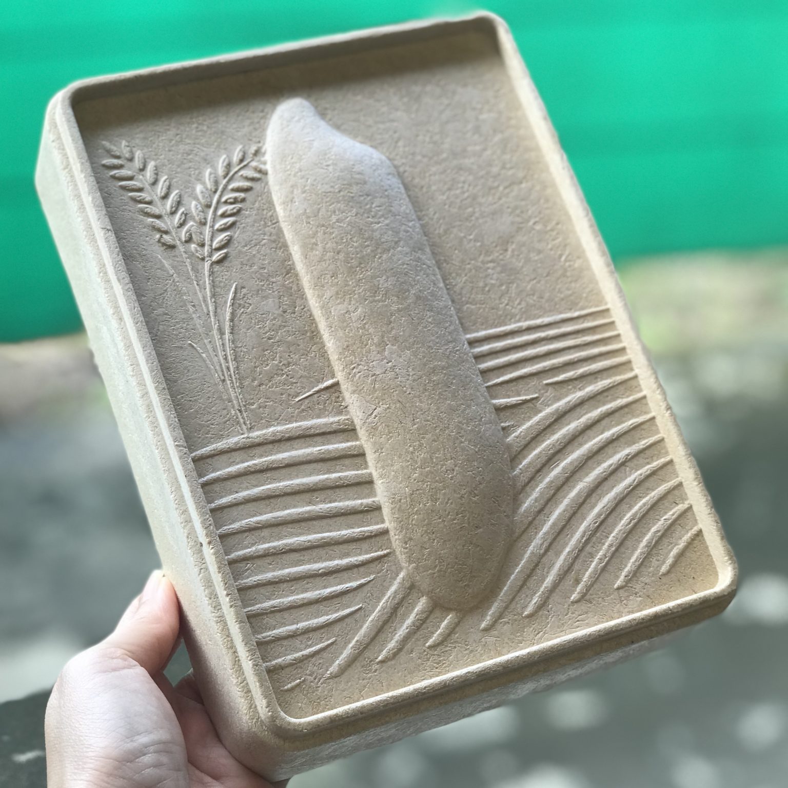 Biodegradable Box – Biodegradable and Compostable Pots